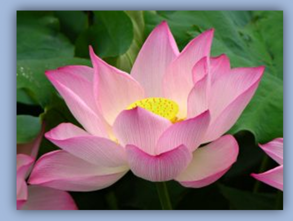 School for Esoteric Studies – Training in Purposeful Living Based on ...